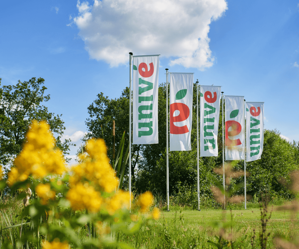 Best Workplaces™ in the Netherlands 2024 | Great Place To Work